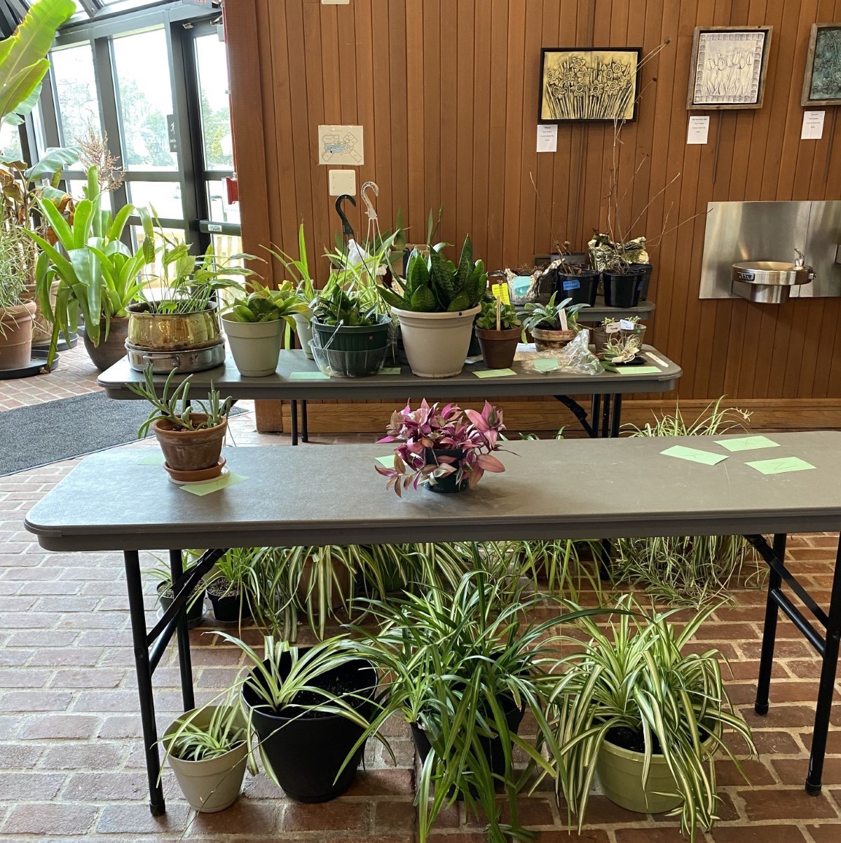 Plant Swap - Gardenline, Spring 2022 - Friends of Green Spring